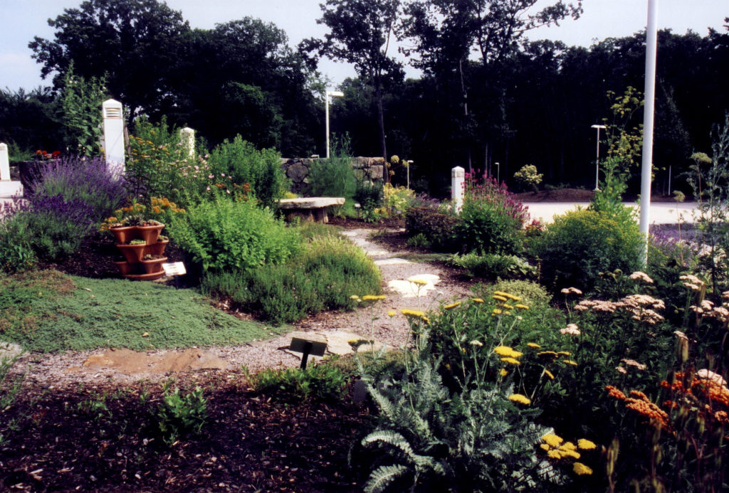 History – MMS Medicinal Garden